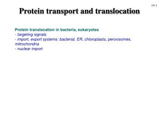 PPT - Protein transport and translocation PowerPoint Presentation, free ...