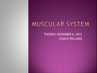 PPT - MUSCULAR SYSTEM PowerPoint Presentation, free download - ID:2732408