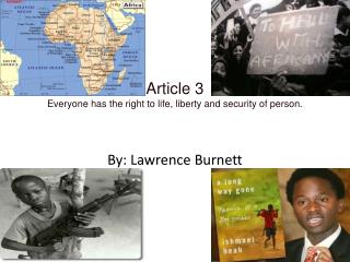 PPT - Article 3 Everyone has the right to life, liberty and security of ...