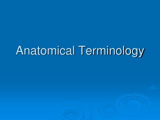 PPT - Anatomical Terminology PowerPoint Presentation, free download ...