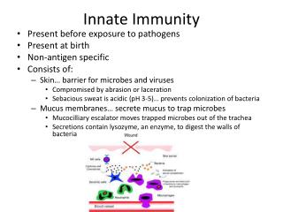 PPT - Innate immunity PowerPoint Presentation - ID:4501966