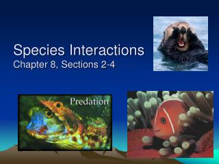 PPT - Species Interactions Chapter 8, Sections 2-4 PowerPoint Presentation - ID:2746429
