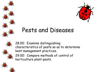 PPT - Pests and Diseases PowerPoint Presentation, free download - ID ...