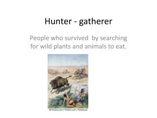 PPT - Hunter - gatherer PowerPoint Presentation, free download - ID:2785079