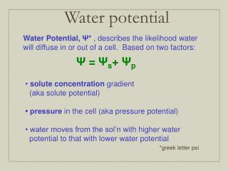 PPT - Water potential PowerPoint Presentation, free download - ID:2798211