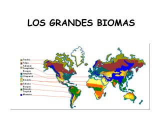 PPT - Biomas terrestres PowerPoint Presentation - ID:3936280