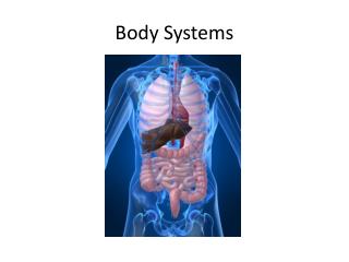 PPT - Body Systems PowerPoint Presentation, free download - ID:2819568