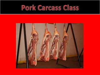 PPT - Pork Carcass Class PowerPoint Presentation, free download - ID ...