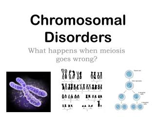 PPT - Chromosomal Disorders PowerPoint Presentation, free download - ID ...