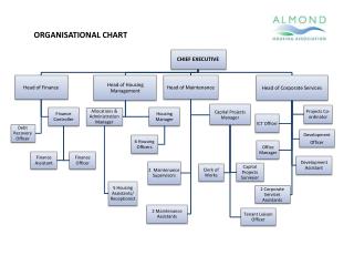 PPT - Organisational Chart - Tesco Stores PowerPoint Presentation - ID ...