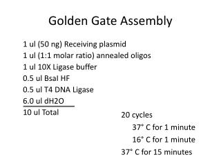 PPT - Golden Gate Assembly PowerPoint Presentation, free download - ID ...