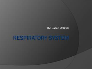 PPT - Respiratory system PowerPoint Presentation, free download - ID ...