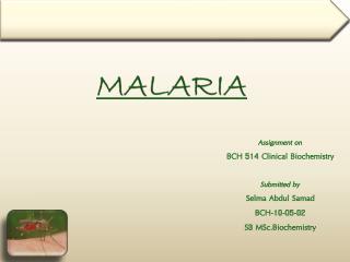 PPT - MALARIA PowerPoint Presentation, free download - ID:2950790