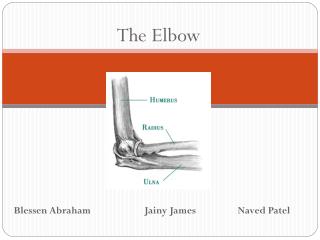 PPT - The Elbow PowerPoint Presentation, free download - ID:2954998