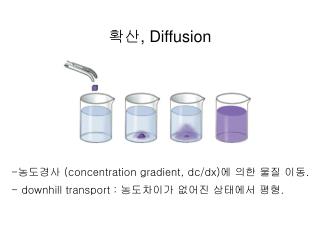 PPT - 확산 , Diffusion PowerPoint Presentation, free download - ID:2976603