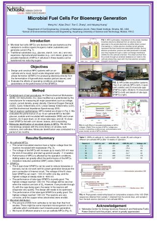 PPT - Microbial Fuel Cells For Bioenergy Generation PowerPoint ...