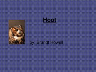 PPT - Hoot PowerPoint Presentation - ID:5826485