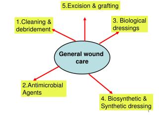 PPT - General wound care PowerPoint Presentation, free download - ID ...