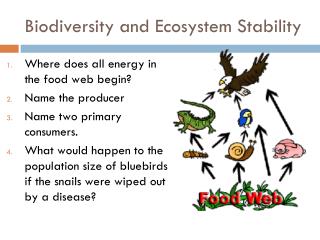 PPT - Biodiversity and Ecosystem Stability PowerPoint Presentation ...