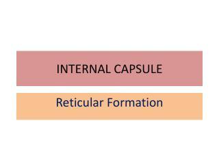 PPT - INTERNAL CAPSULE PowerPoint Presentation, free download - ID:3065666