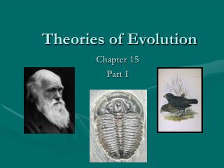 PPT - Theories of Evolution PowerPoint Presentation, free download - ID ...