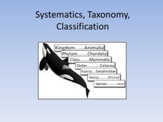 PPT - Systematics , Taxonomy, Classification PowerPoint Presentation ...