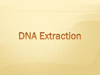 PPT - DNA Extraction PowerPoint Presentation, free download - ID:3068625