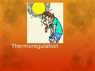 PPT - THERMOREGULATION PowerPoint Presentation - ID:344762