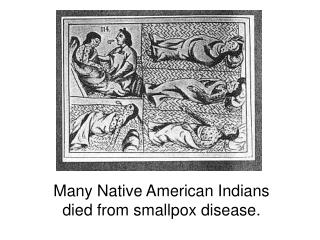 PPT - Many Native American Indians died from smallpox disease ...
