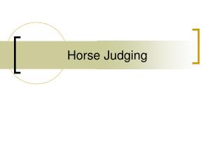 PPT - Horse Judging PowerPoint Presentation, free download - ID:3095381
