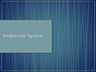 PPT - Endocrine System PowerPoint Presentation, free download - ID:3095854