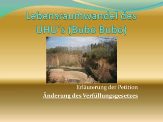 Inguinal bubo syphilis PowerPoint (PPT) Presentations, Inguinal bubo ...