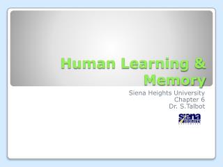 PPT - Human Learning & Memory PowerPoint Presentation, free download ...
