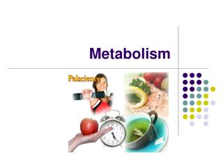 PPT - Metabolism PowerPoint Presentation, free download - ID:3118365