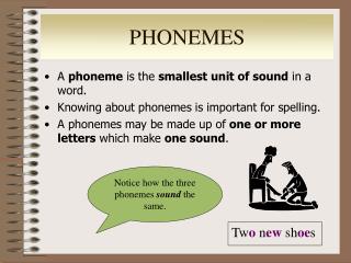 PPT - The 44 phonemes PowerPoint Presentation - ID:5580627