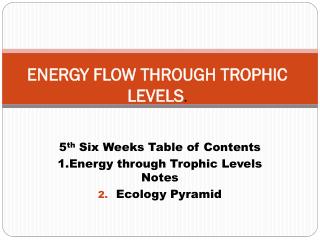 PPT - ENERGY FLOW THROUGH TROPHIC LEVELS . PowerPoint Presentation ...