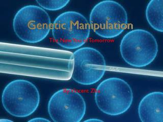 PPT - Genetic Manipulation PowerPoint Presentation, free download - ID ...