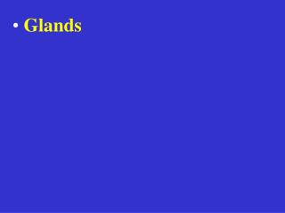 PPT - Glands PowerPoint Presentation, free download - ID:314614