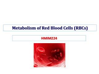 PPT - Metabolism of Red Blood Cells (RBCs) PowerPoint Presentation ...