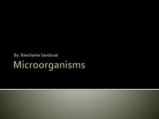 PPT - Microorganisms PowerPoint Presentation, free download - ID:3154429