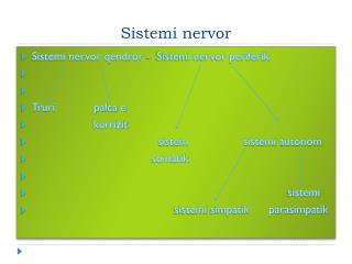 PPT - Sistemi nervor PowerPoint Presentation, free download - ID:3174309