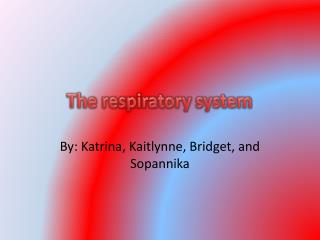 PPT - The respiratory system PowerPoint Presentation, free download ...
