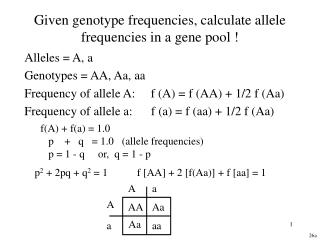 PPT - Given genotype frequencies, calculate allele frequencies in a ...