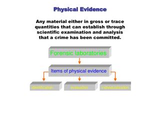 PPT - Classification of Physical Evidence PowerPoint Presentation, free ...