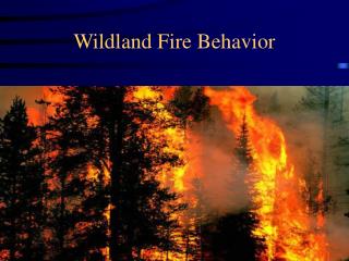 PPT - Wildland Fire Behavior PowerPoint Presentation, free download ...