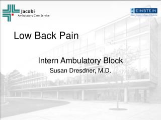 PPT - Low Back Pain PowerPoint Presentation, free download - ID:3218013