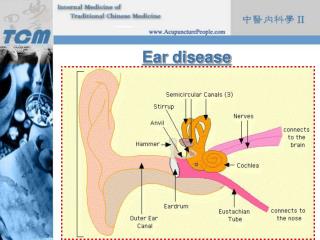 PPT - Ear disease PowerPoint Presentation, free download - ID:3222941