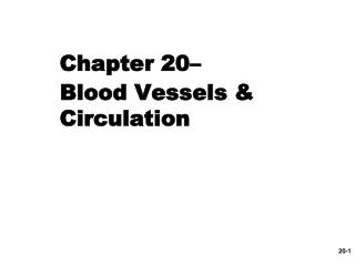 PPT - Chapter 20– Blood Vessels & Circulation PowerPoint Presentation ...