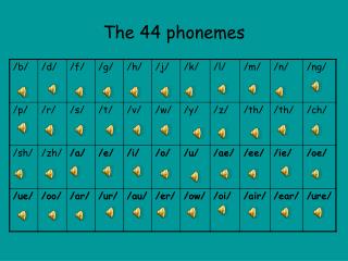 PPT - The 44 phonemes PowerPoint Presentation, free download - ID:3224531