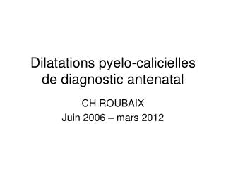 PPT - Dilatations pyelo-calicielles de diagnostic antenatal PowerPoint ...
